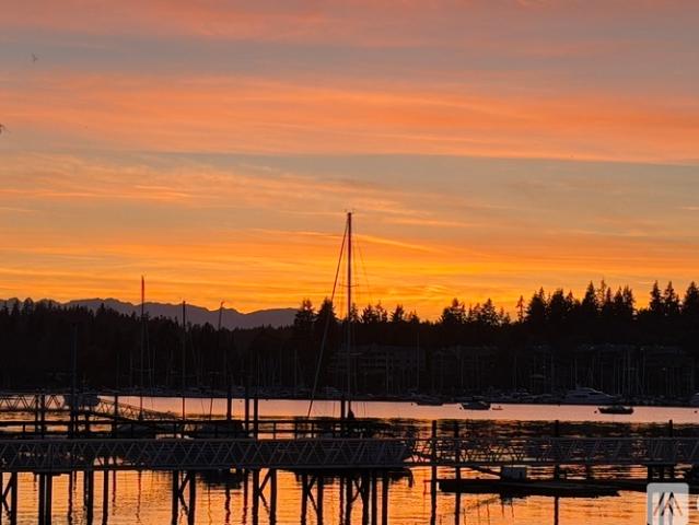 1 BR, 1 BA Apartment 5811 Ward Ave NE, Bainbridge Island, WA 98110