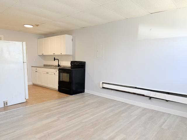 1 BR, 1 BA Apartment 581 Pierre Ave, Windsor, ON N9A 2K1