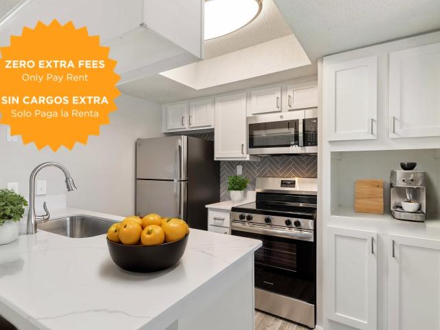 1 BR, 1 BA Apartment 5930 Arapaho Road Unit 221, Dallas, TX 75248