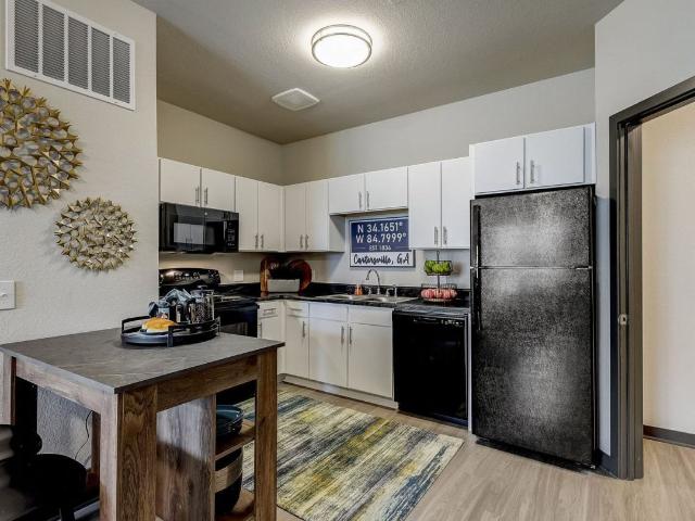 1 BR, 1 BA Apartment 5000 Hwy 20 Unit 203, Cartersville, GA 30121