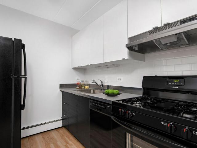 1 BR, 1 BA Apartment 500 W Belmont Unit 4F, Chicago, IL 60657