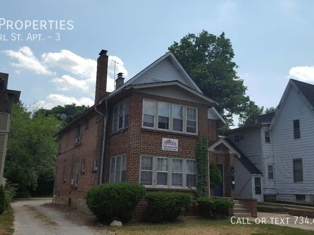 1 BR, 1 BA Apartment 513 Pearl St. Apt Ypsilanti, MI 48197