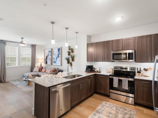 1 BR, 1 BA Apartment 5101 N Mays St. Unit 6302, Georgetown, TX 78626