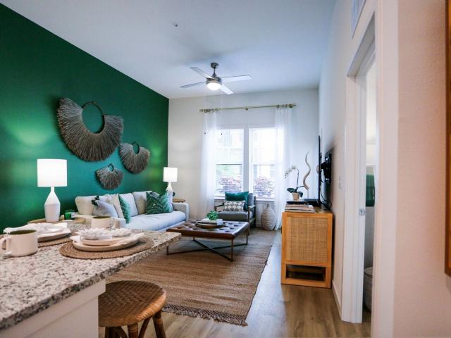 1 BR, 1 BA Apartment 510 North Rome Avenue, Suite 100 Unit 411, Tampa, FL 33606