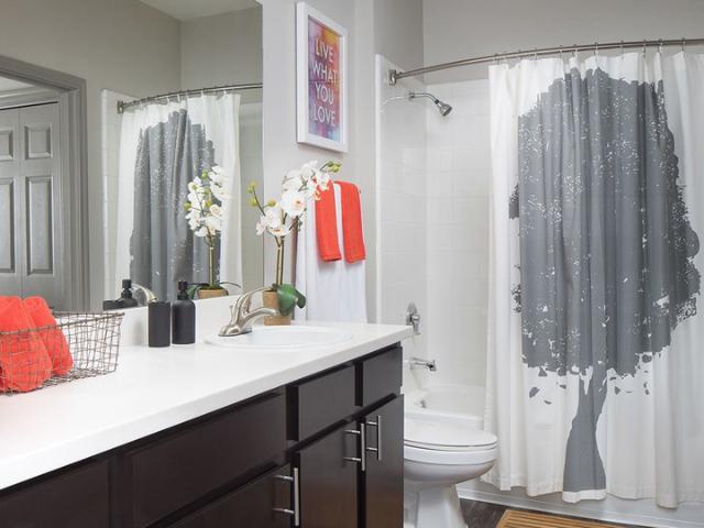 1 BR, 1 BA Apartment 516 E Stassney Ln, Austin, TX 78745