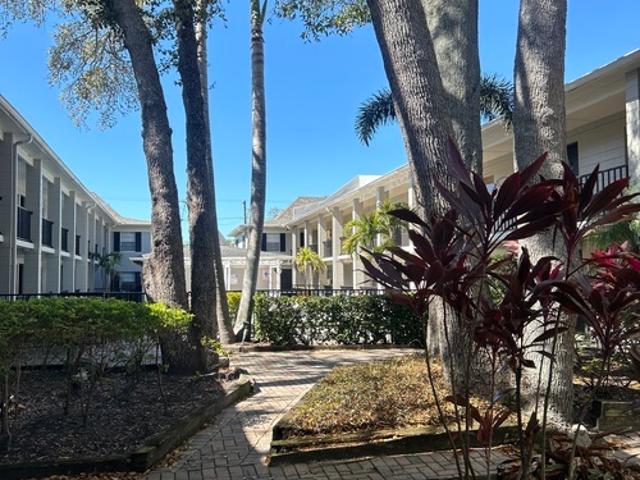 1 BR, 1 BA Apartment 5221 Bayshore Boulevard, Unit 51, Tampa, FL 33611