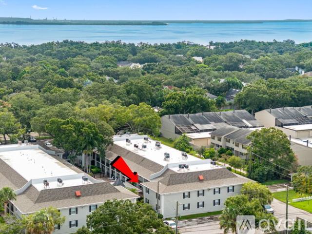 1 BR, 1 BA Apartment 5221 Bayshore Blvd, Unit 27, Tampa, FL 33611