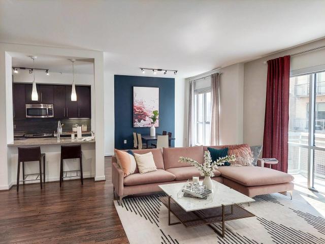 1 BR, 1 BA Apartment 5353 Fannin Street Unit 1510, Houston, TX 77004