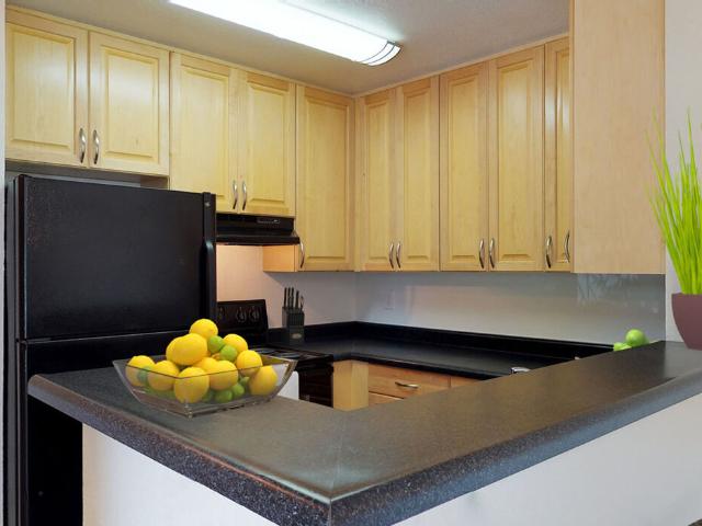1 BR, 1 BA Apartment 5378 Clayton Road Unit 82S, Concord, CA 94521