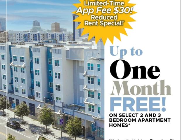 1 BR, 1 BA Apartment 659 W Amelia Street Unit 536, Orlando, FL 32801
