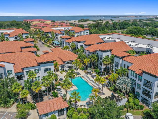 1 BR, 1 BA Apartment 6608 South West Shore Blvd Unit 1110, Tampa, FL 33616