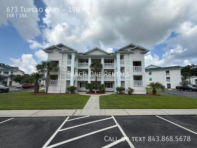 1 BR, 1 BA Apartment 673 Tupelo Lane, Longs, SC 29568