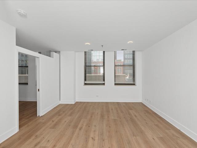 1 BR, 1 BA Apartment 680 South Federal Street, Chicago, IL 60605