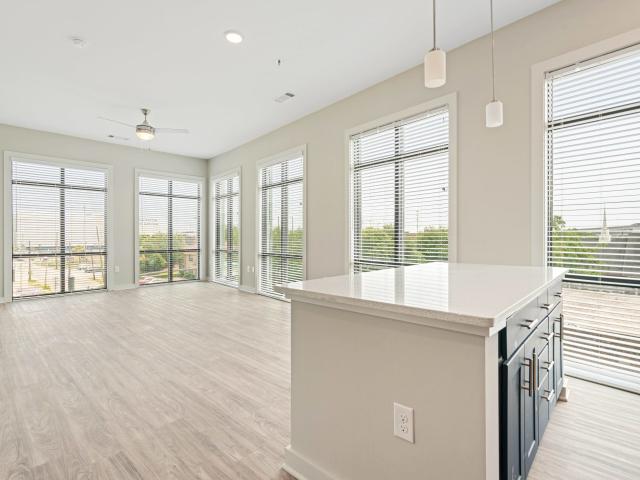 1 BR, 1 BA Apartment 695 Meeting Street Unit 203, Charleston, SC 29403