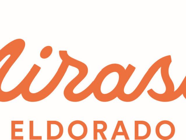 1 BR, 1 BA Apartment 6000 El Dorado Parkway Unit 1522, Frisco, TX 75033
