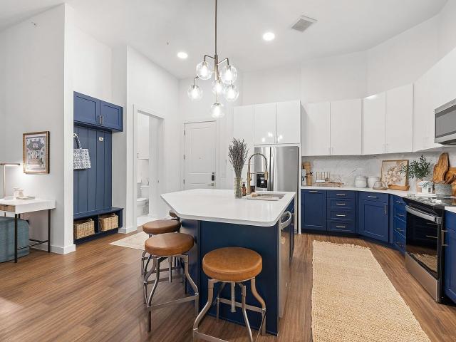 1 BR, 1 BA Apartment 601 Cardinal Lane Unit 233, Austin, TX 78704