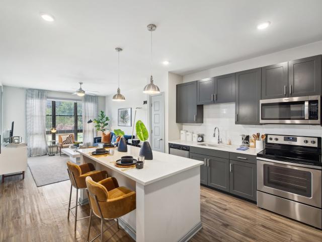 1 BR, 1 BA Apartment 601 Meeting Street Unit 0411, Charleston, SC 29403