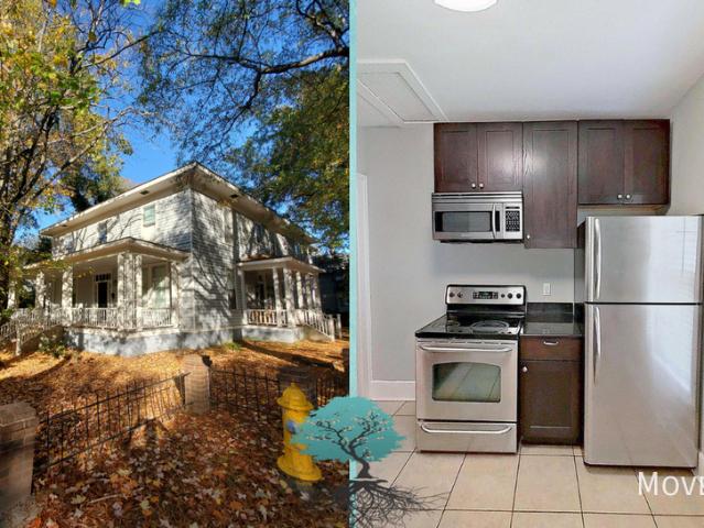1 BR, 1 BA Apartment 604 N Blount St, Raleigh, NC 27604