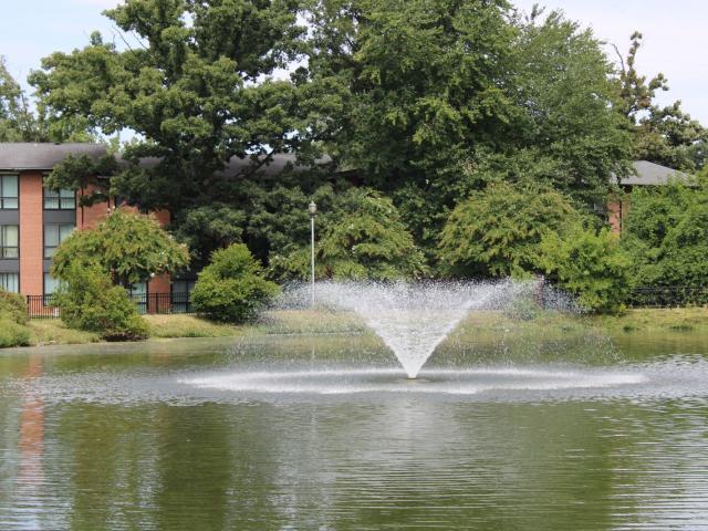 1 BR, 1 BA Apartment 6220 Springhill Dr Unit 9133ET24, Greenbelt, MD 20770