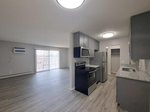1 BR, 1 BA Apartment 631 East 77th Street Unit 205, Minneapolis, MN 55423