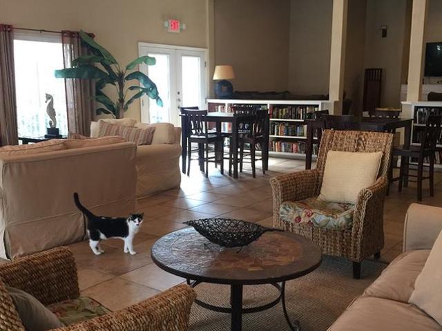 1 BR, 1 BA Apartment 6321 Central City BlvdÂ, Galveston, TX 77551