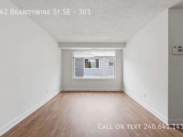 1 BR, 1 BA Apartment 742 Brandywine St SE, Washington, DC 20032