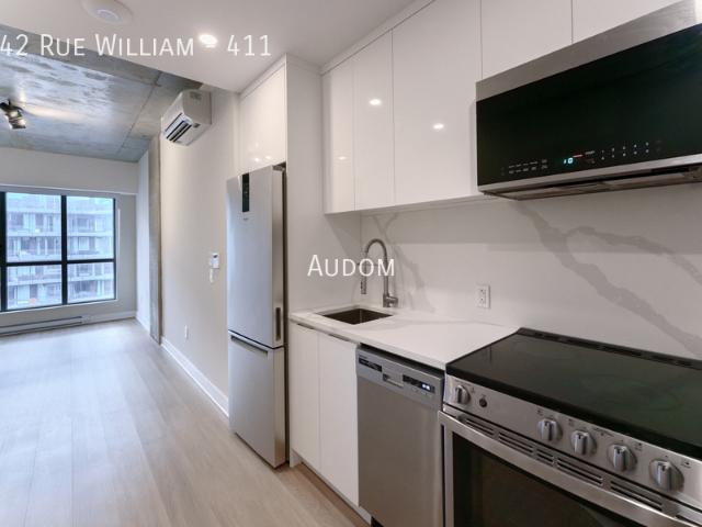 1 BR, 1 BA Apartment 742 Rue William, MontrÃ©al, QC H3C 1B6