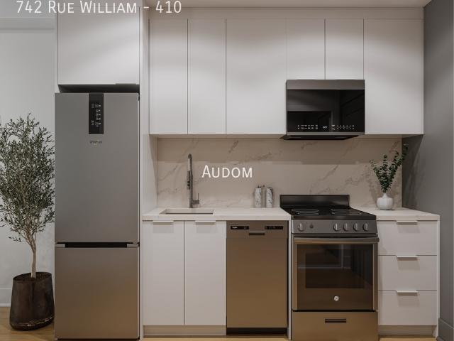1 BR, 1 BA Apartment 742 Rue William, MontrÃ©al, QC H3C 1B6