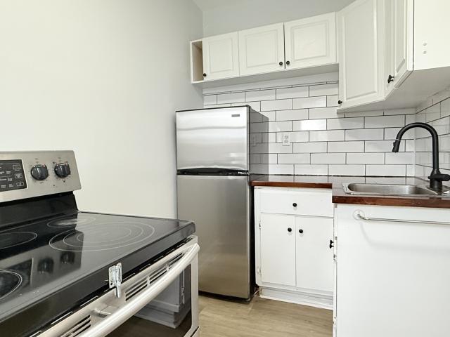 1 BR, 1 BA Apartment 74 Hanna St W, Windsor, ON N8X 1C8