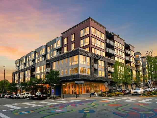 1 BR, 1 BA Apartment 75 102nd Ave NE Unit 304, Bellevue, WA 98004