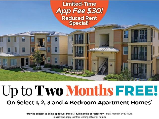 1 BR, 1 BA Apartment 7011 Homestead Loop Unit 02 307, Wildwood, FL 34785