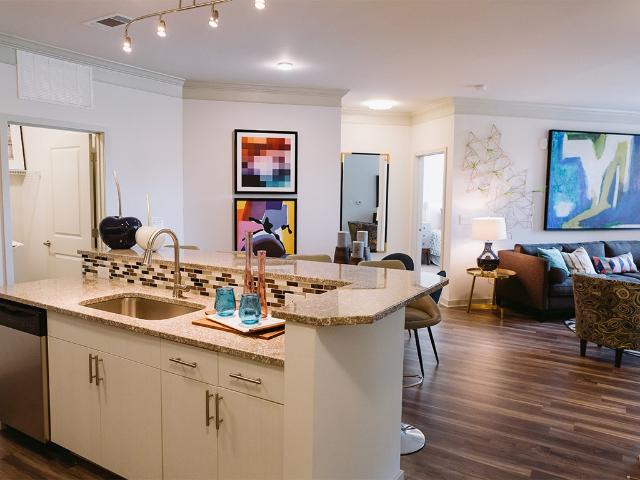 1 BR, 1 BA Apartment 707 Sycamore Centre Drive Unit 5606 314, Charlotte, NC 28217