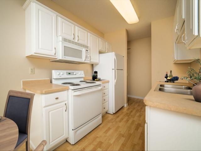 1 BR, 1 BA Apartment 723 Kenwood Avenue Unit 308, Duluth, MN 55811