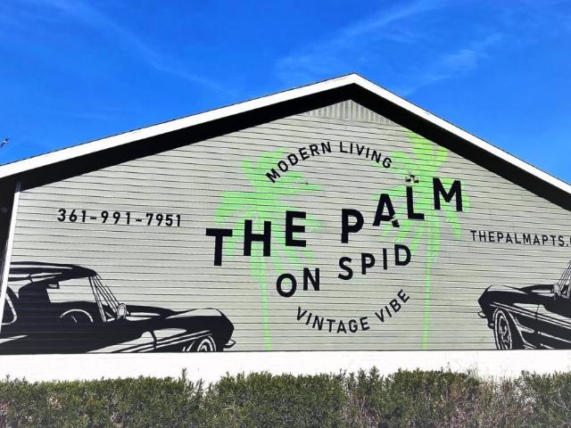 1 BR, 1 BA Apartment 7218 S Padre Island Dr Unit 55D, Corpus Christi, TX 78412