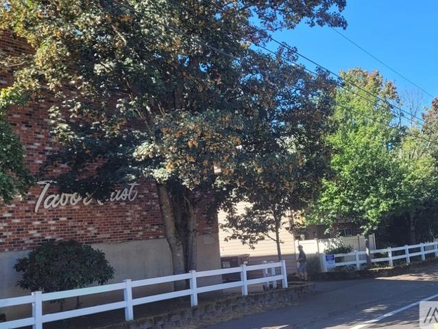 1 BR, 1 BA Apartment 7298 SE Division St, Unit 1X1, Portland, OR 97206