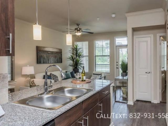 1 BR, 1 BA Apartment 738 Durham Dr, Houston, TX 77008