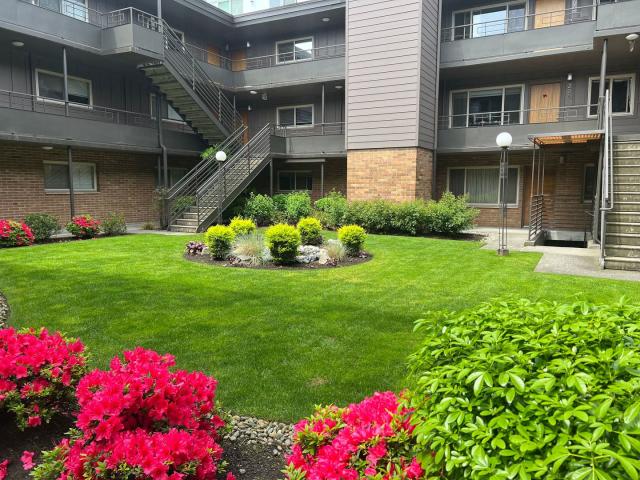 1 BR, 1 BA Apartment 858 Northeast 67th Street Unit 204, Seattle, WA 98115