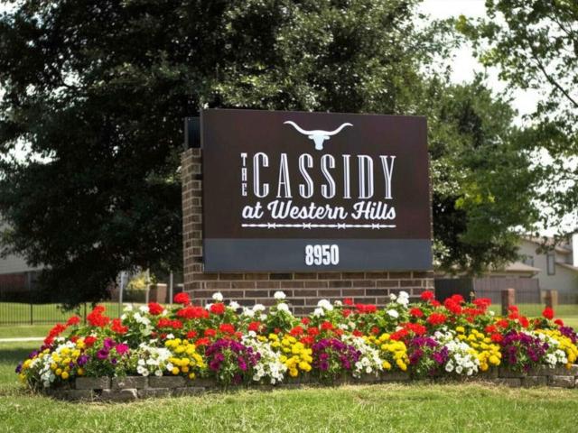 1 BR, 1 BA Apartment 8950 N. Normandale Street Unit B 3 8908SD, Fort Worth, TX 76116