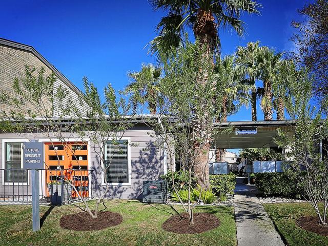 1 BR, 1 BA Apartment 8000 Midcrown Dr Unit 1401, San Antonio, TX 78218