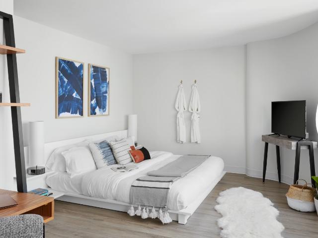 1 BR, 1 BA Apartment 800 South Wells Street Unit 800 0948, Chicago, IL 60607