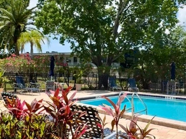 1 BR, 1 BA Apartment 8190 Philippe Landing, Unit 1, Safety Harbor, FL 34695