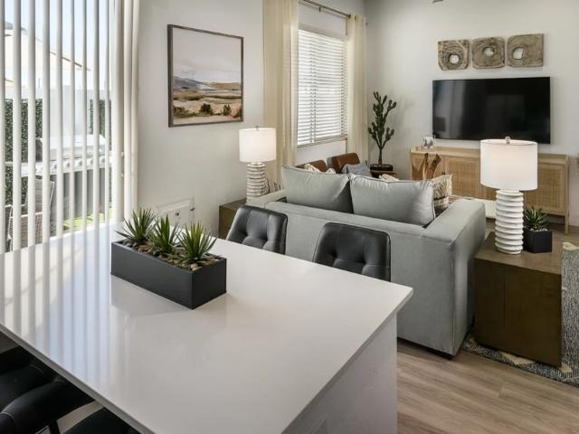 1 BR, 1 BA Apartment 9410 Cadence Parkway Unit 1 1004, Mesa, AZ 85212