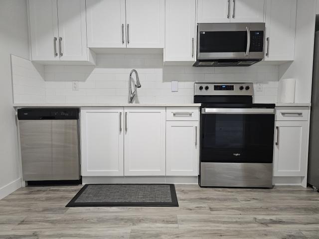 1 BR, 1 BA Apartment 9420 Colak Lane Southwest BSMT, Edmonton, AB T6W 1A6