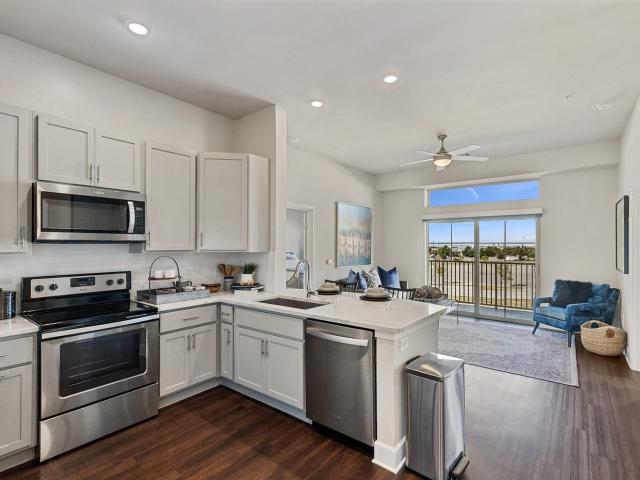1 BR, 1 BA Apartment 9355 John W. Elliott Drive Unit 2 163, Frisco, TX 75033