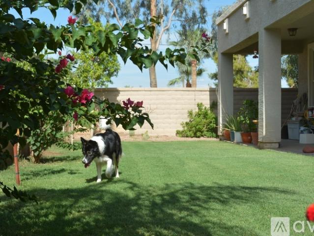 1 BR, 2.5 BA Apartment 2111 East Chanute Pass, Phoenix, AZ 85040