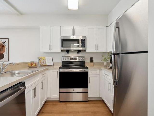 1 Br, 2 bath, Apartment 2093 Ocean Street