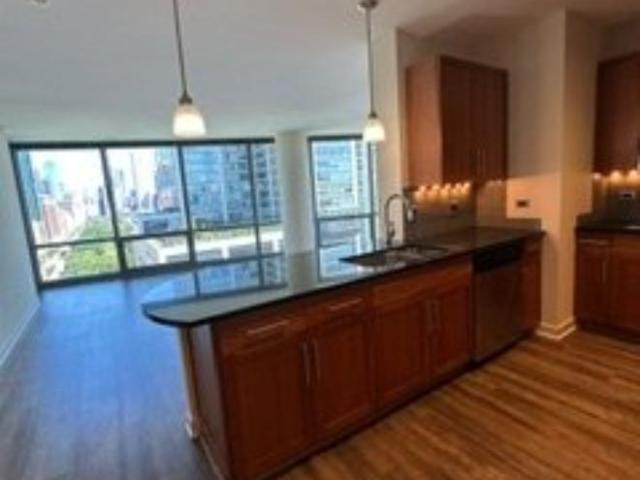 1 Br, 2 bath, Condo 1259 S Michigan Ave