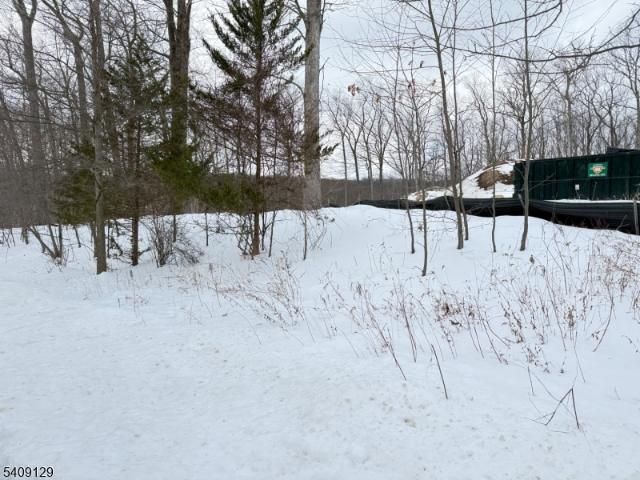 1 Bristol Ridge Rd