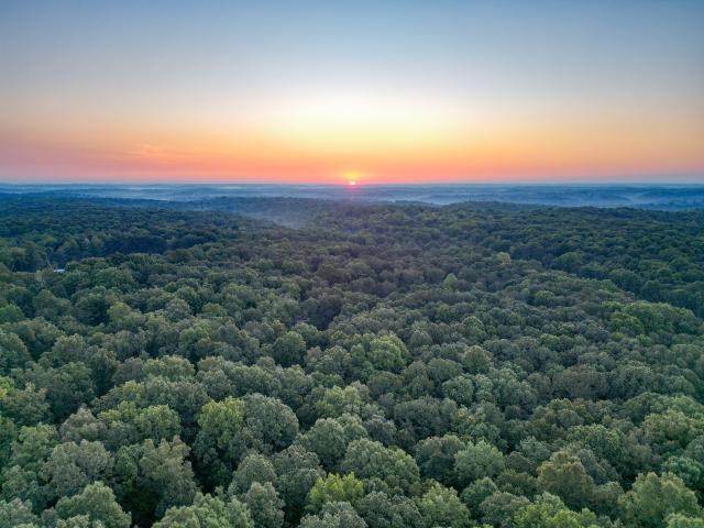 1 C Rd, Fairview, TN 37062 | MLS #3000