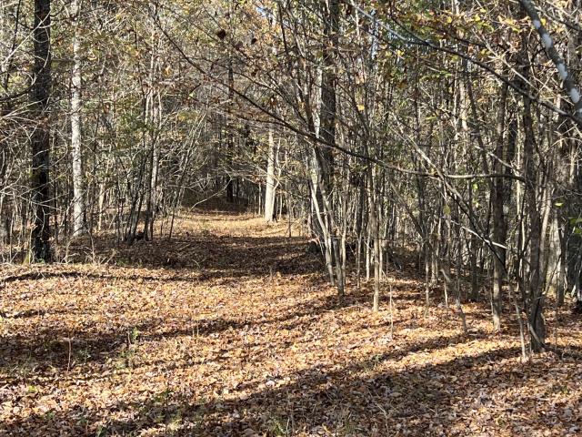 1 Cane Creek Rd, Hohenwald, TN 38462 | MLS #2749 | Compass